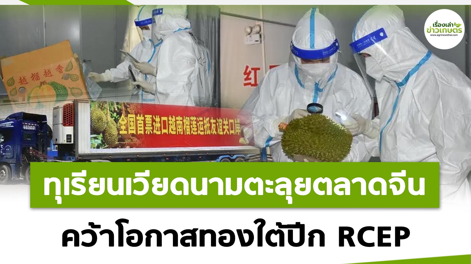 ทุเรียนเวียดนามตะลุยตลาดจีน คว้าโอกาสทองใต้ปีกความตกลง RCEP - เรื่องเล่าข่าวเกษตร