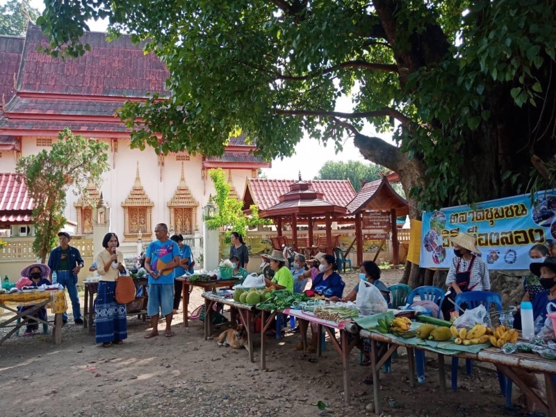 14 ปี ครบรอบวันสถาปนาพิพิธภัณฑ์เกษตรเฉลิมพระเกียรติฯ ขับเคลื่อนงานตลาด
