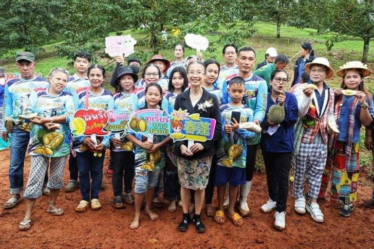แปลงใหญ่ทุเรียนตำบลท่าแซะ จ ชุมพร ผลิตทุเรียนคุณภาพมาตรฐานส่งออกสู่ตลาด