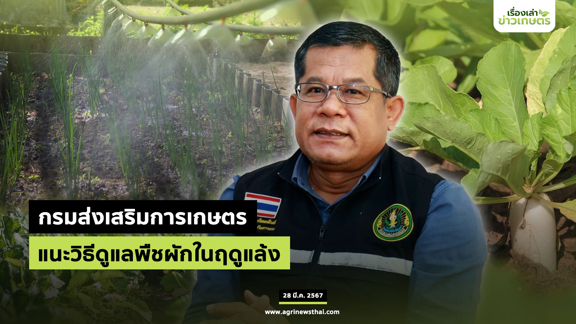 กรมส่งเสริมการเกษตร แนะวิธีดูแลพืชผักในฤดูแล้ง เรื่องเล่าข่าวเกษตร
