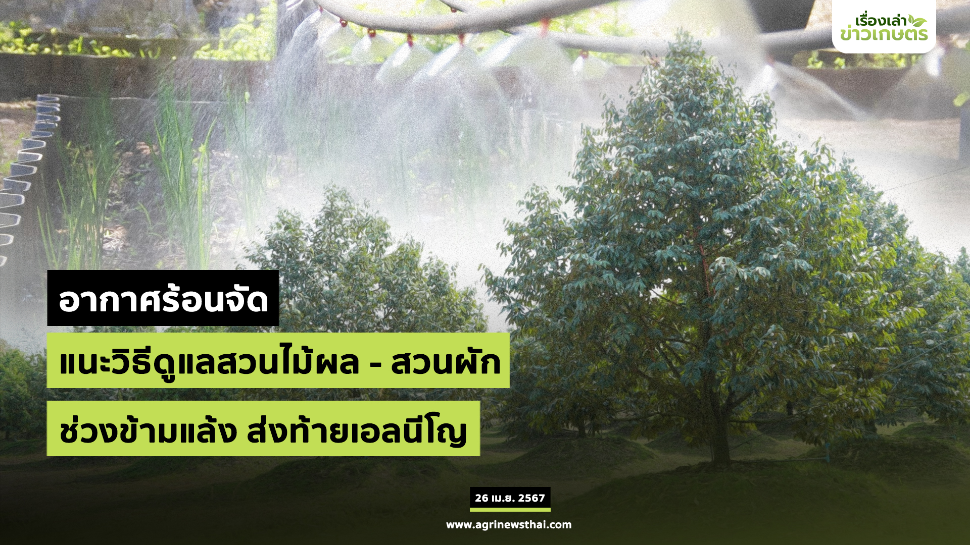อากาศร้อนจัด แนะวิธีดูแลสวนไม้ผล สวนผัก ช่วงข้ามแล้ง ส่งท้ายเอลนีโญ