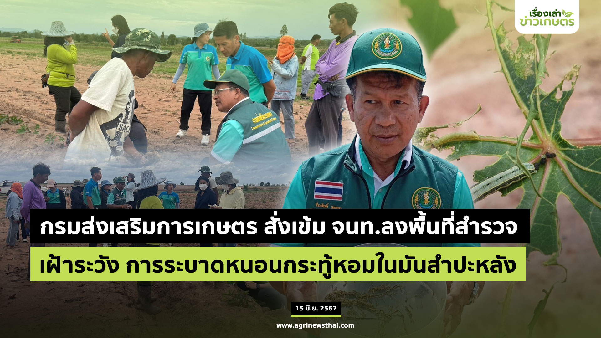กรมส่งเสริมการเกษตรสั่งเข้มเจ้าหน้าที่ลงพื้นที่สำรวจ เฝ้าระวังการระบาด